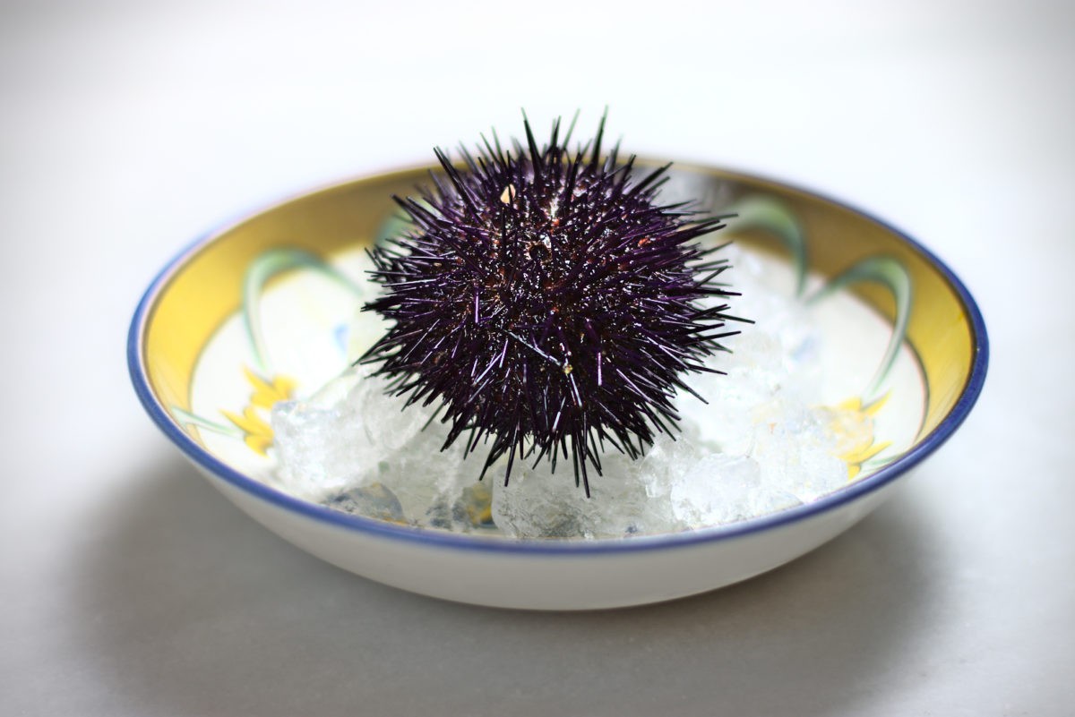 Center of Denia - Que ver en Denia